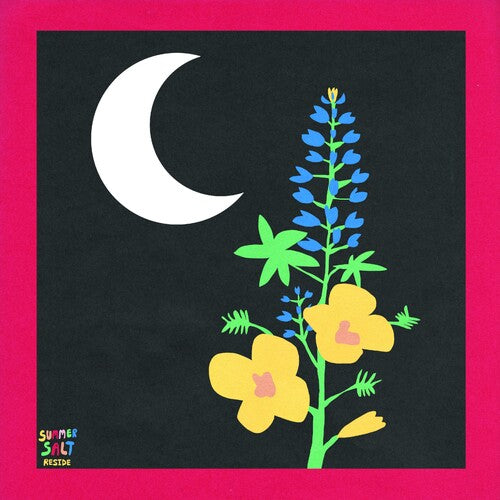 Summer Salt - Reside LP – Chaz's Bull City Records
