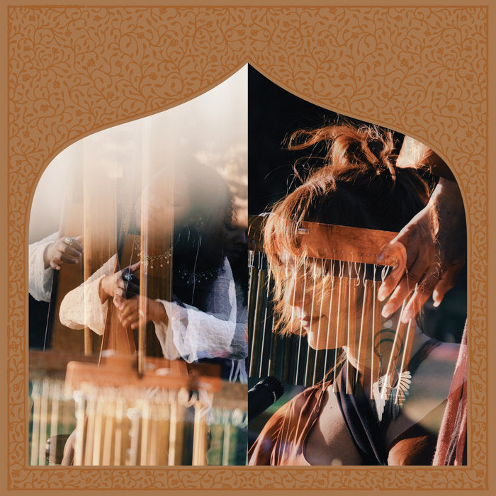 Nailah Hunter & Alia - The Pavilion of Dreams LP – Chaz's Bull City Records