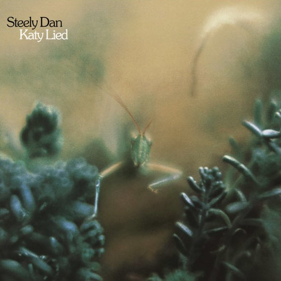 Steely Dan - Katy Lied LP – Chaz's Bull City Records